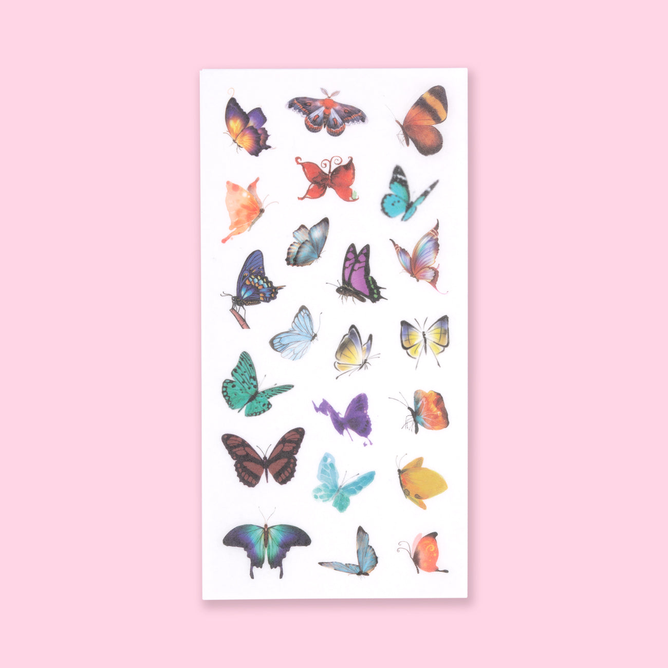 Pink Butterfly Tumblr