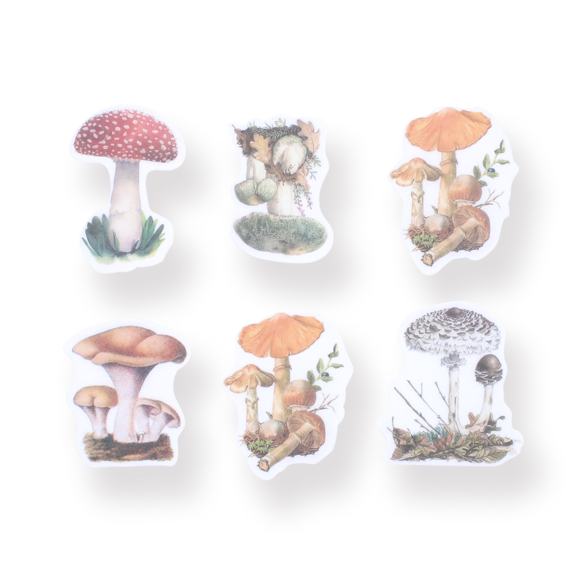 Mushroom Collection Sticker Pack — Stationery Pal
